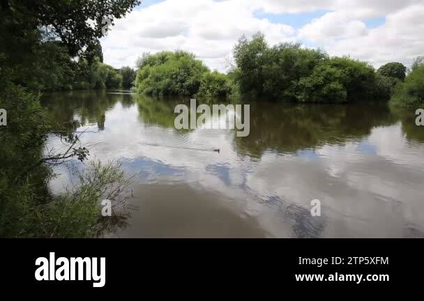 Forest of dean church Stock Videos & Footage - HD and 4K Video Clips ...