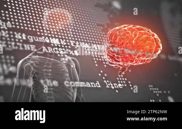 Body map fashion Stock Videos & Footage - HD and 4K Video Clips - Alamy