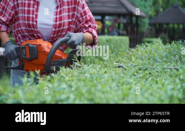 Woman cutting the hedges Stock Videos & Footage - HD and 4K Video Clips ...