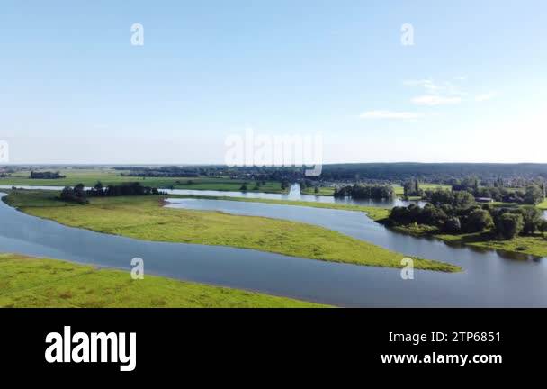 Unique habitat and species Stock Videos & Footage - HD and 4K Video ...