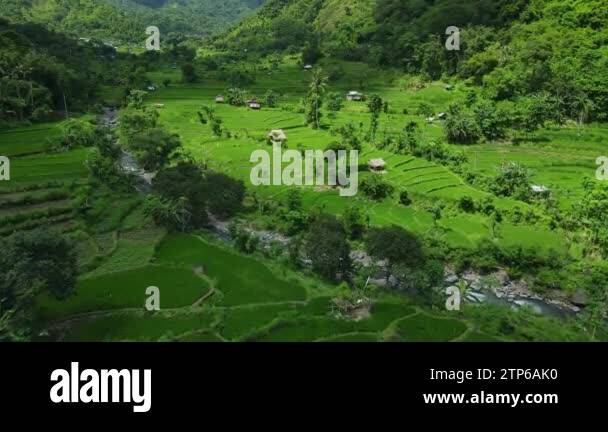 Scenic valley with rice terraces mountains on Northern Bali ...