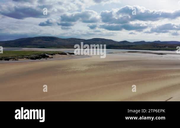 Invertebrates of ireland Stock Videos & Footage - HD and 4K Video Clips ...