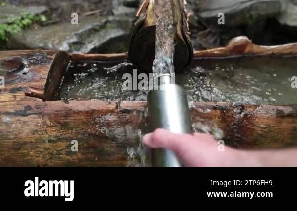 Picking up garbage water plastic nature. Volunteer cleaning river trash ...