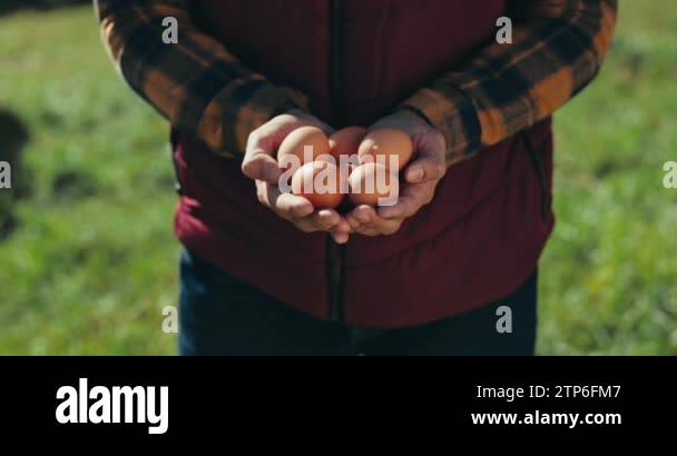 Livestock inspection Stock Videos & Footage - HD and 4K Video Clips - Alamy