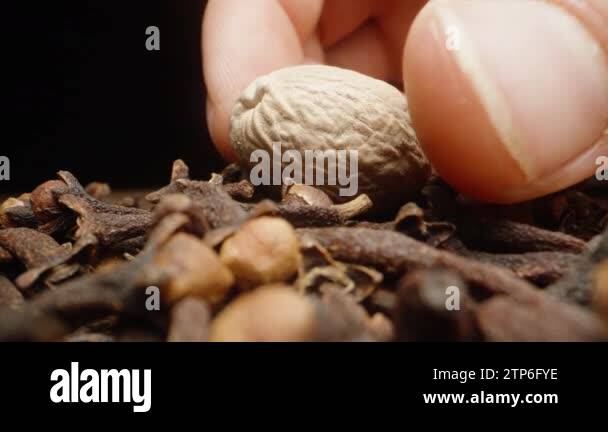 Nutmeg seeds background Stock Videos & Footage - HD and 4K Video Clips ...