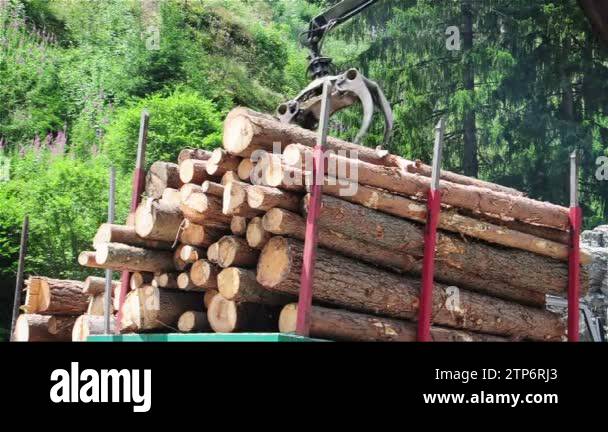Workable timber Stock Videos & Footage - HD and 4K Video Clips - Alamy