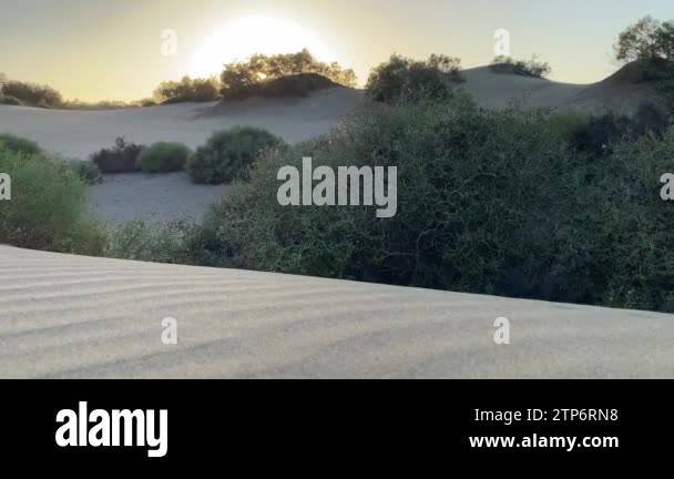 landscape death valley national park Mojave sand dunes desert landscape ...