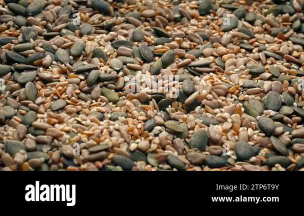 Seed pile Stock Videos & Footage - HD and 4K Video Clips - Alamy