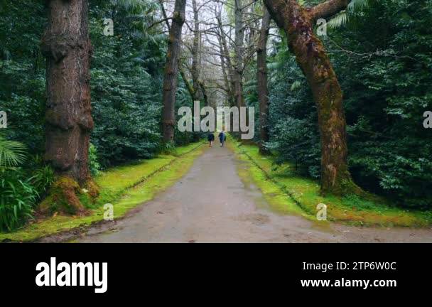 Two people walking through pathway Stock Videos & Footage - HD and 4K ...