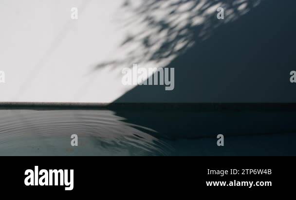 Water wave and ripples of blue swimming pool and tree or plant shadow ...