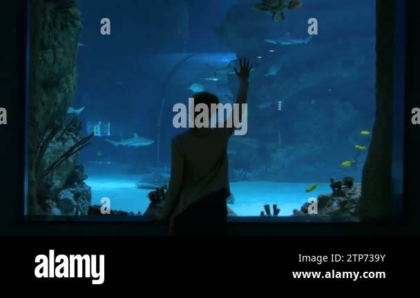 Woman fish tank Stock Videos & Footage - HD and 4K Video Clips - Alamy