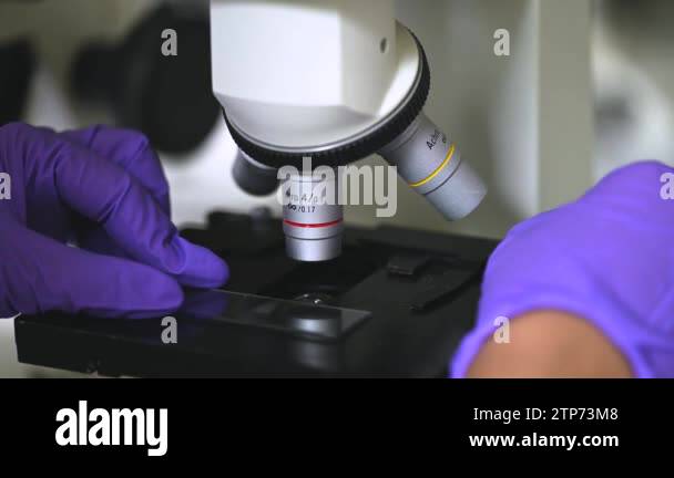 Female research scientist looking at samples under microscope. 4K ...