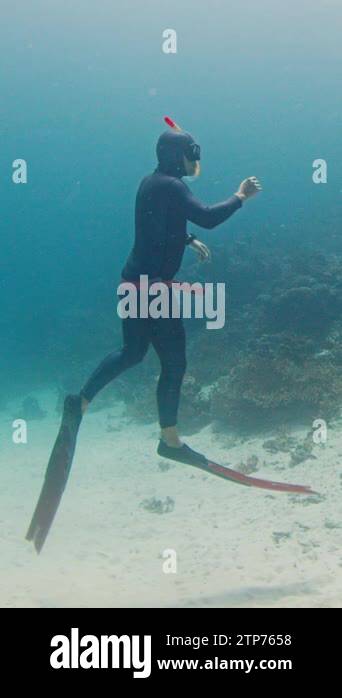Underwater language. Freediving guide explains location of the sea eel ...