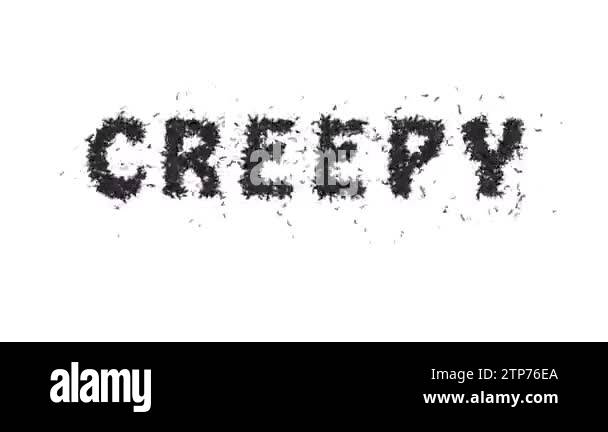 Animated Halloween Bat Typeface Text Forming the Word Creepy Stock ...