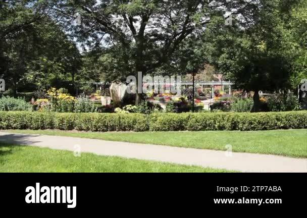 Toronto plants tree Stock Videos & Footage - HD and 4K Video Clips - Alamy