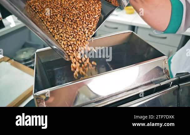 Grain sorting Stock Videos & Footage - HD and 4K Video Clips - Alamy