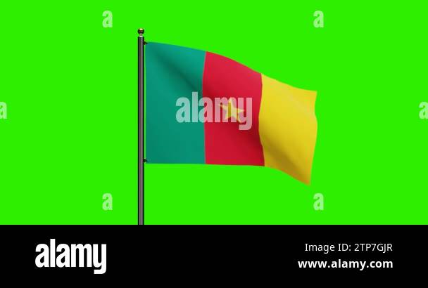 3D Rendered Cameroon National Flag Waving Animation with Realistic Wind ...