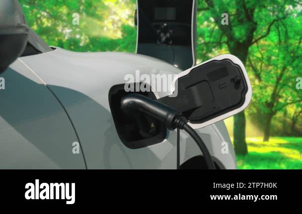 Progressive campaign to increase environmental awareness of electric ...