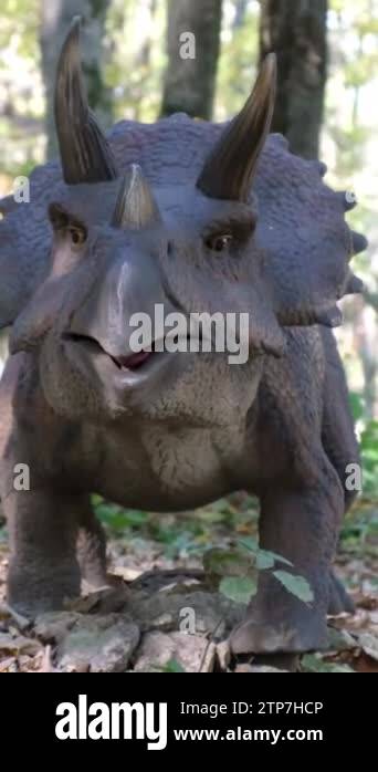 Predatory dinosaurs. A model of a horned dinosaur that hunts in the ...