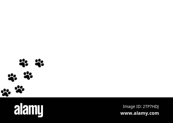 Animated cat black tracks. A cat's paw print appears take turns in a ...