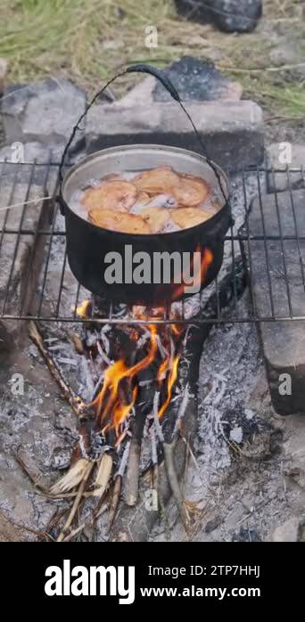 Vertical Mushrooms are cooked in a pot on a campfire. Many chanterelles ...