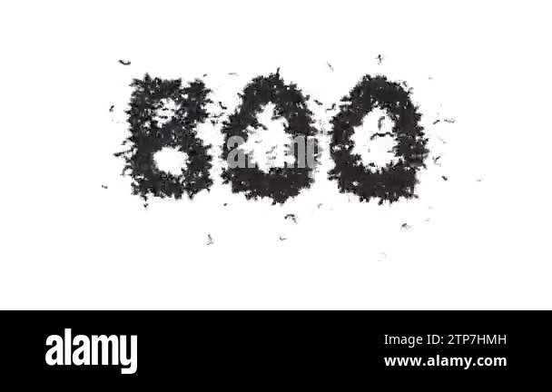 Animated Halloween Bat Typeface Text Forming the Word Boo Stock Video ...