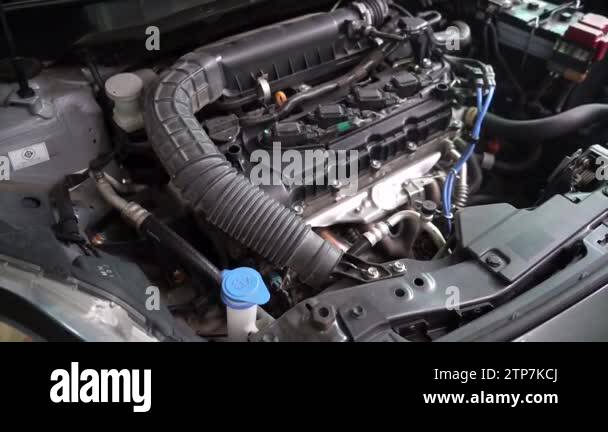 White edition Stock Videos & Footage - HD and 4K Video Clips - Alamy