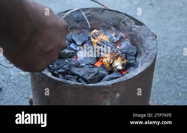 Grilled corn cobs on coal stove.Fresh roasted corncobs on coal fire ...