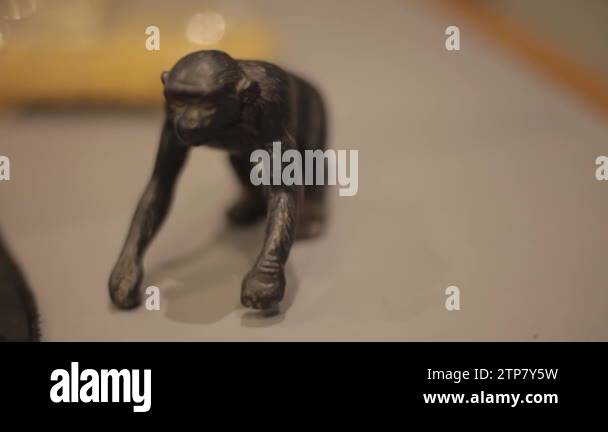 Alien culture Stock Videos & Footage - HD and 4K Video Clips - Alamy