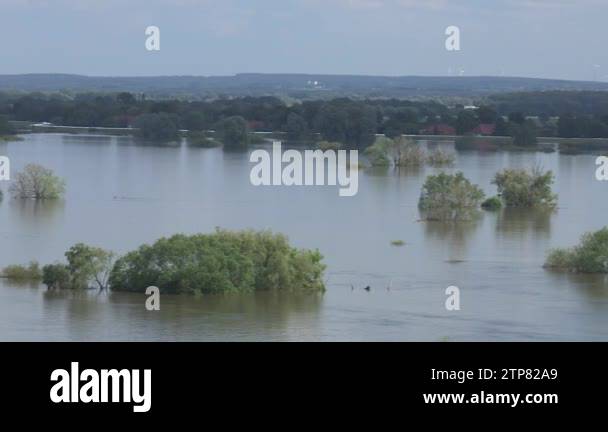 Floodplain environment Stock Videos & Footage - HD and 4K Video Clips ...