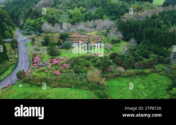Hillside roadway running forest nature drone view. Countryside greenery ...