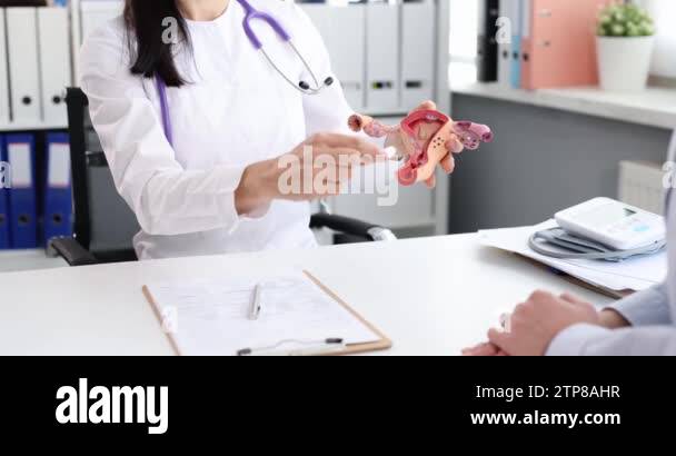 Gynecologist Showing Patient How To Insert Tampon On Artificial Model Of Uterus And Ovaries 4k