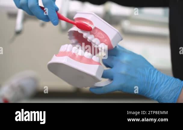 Dentist with blue latex gloves teaching patient to brush teeth ...