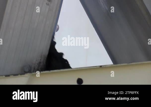 Tar car Stock Videos & Footage - HD and 4K Video Clips - Alamy