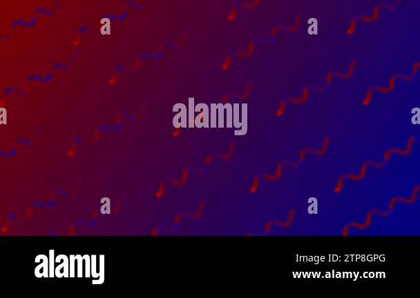 Animated Red and blue color changing squiggly line pattern background ...