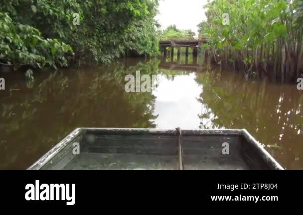 Tour on swamp boat Stock Videos & Footage - HD and 4K Video Clips - Alamy