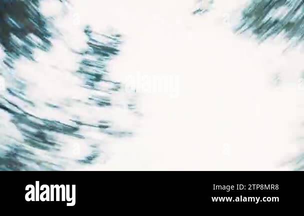 Nature, spinning circle and trees in forest, dizzy green leaves, blur ...