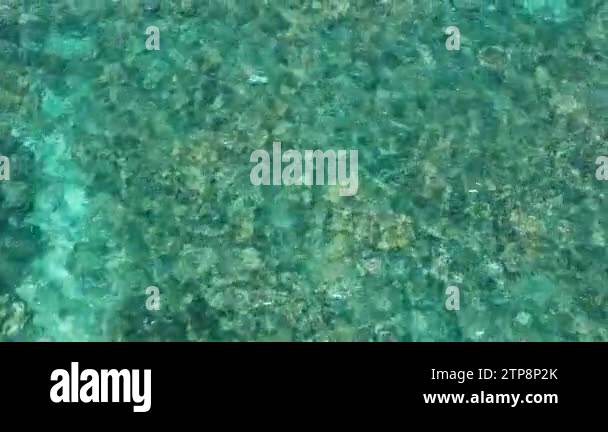 Sea surface with turquoise water in the Philippines. Corals reefs over ...