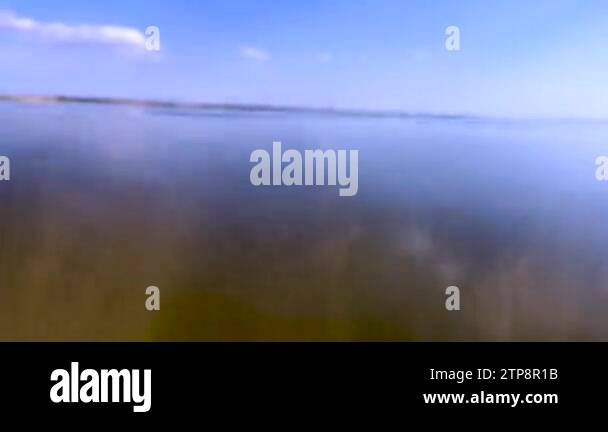 Algae bloom fish Stock Videos & Footage - HD and 4K Video Clips - Alamy