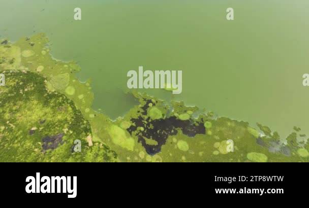 Tropical wetlands, water courses and swampforest on Agusan Marsh ...