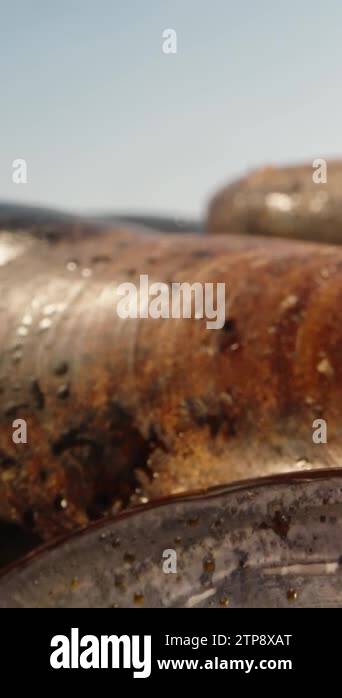 Vertical shell fish Stock Videos & Footage - HD and 4K Video Clips - Alamy