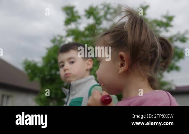 A cute little girl and a cute young boy eating cherry garden on a ...