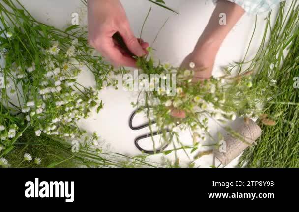 Floristic master class on weaving flower wreath for feast of Ivan ...