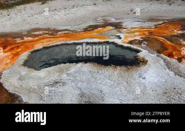 Ear spring geyser Stock Videos & Footage - HD and 4K Video Clips - Alamy