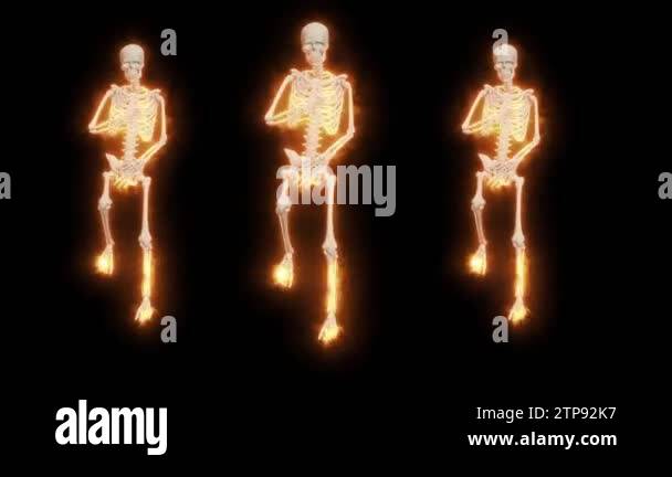 Dancing Fire Skeletons 3D. 3D Skeletons Fanny Dance Animation. Skeleton ...