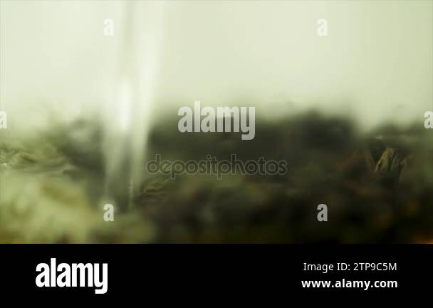 Tea floating in boiled water. Macro. Boiling water poured into a kettle ...