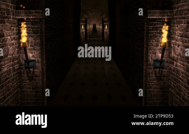 Castle corridor Stock Videos & Footage - HD and 4K Video Clips - Alamy