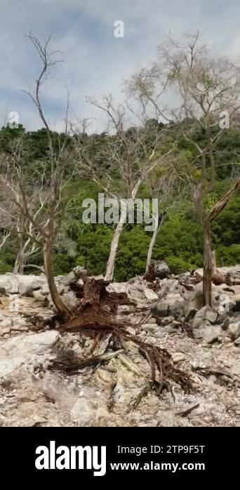 Top view of consequences of a volcanic eruption with scorched earth and ...