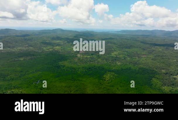 Province palawan Stock Videos & Footage - HD and 4K Video Clips - Alamy