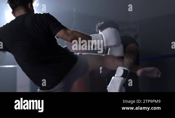 800 fps Art of Combat of Muay Thai Expert's Perfect Side-Body Kick ...